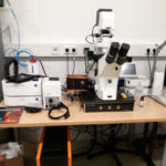 STEDYCON | Abberior Instruments